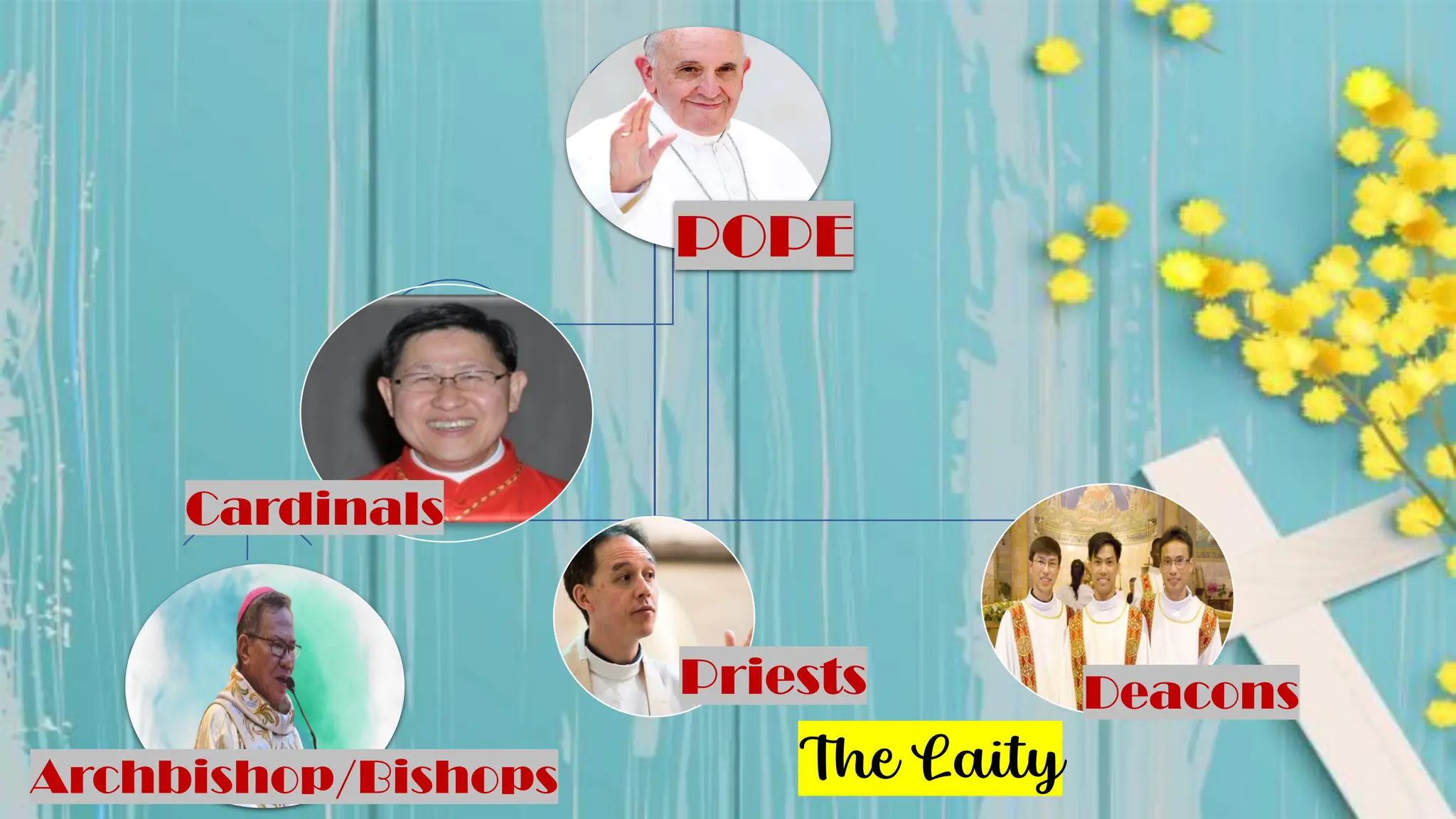 structure of the Church.pdf