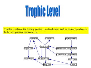 Structure Of The Ecosystem | PPT