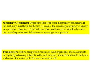 Structure Of The Ecosystem | PPT | Environment | Science