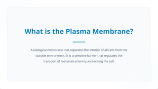 Structure of the Plasma Membrane (Light Theme).pptx