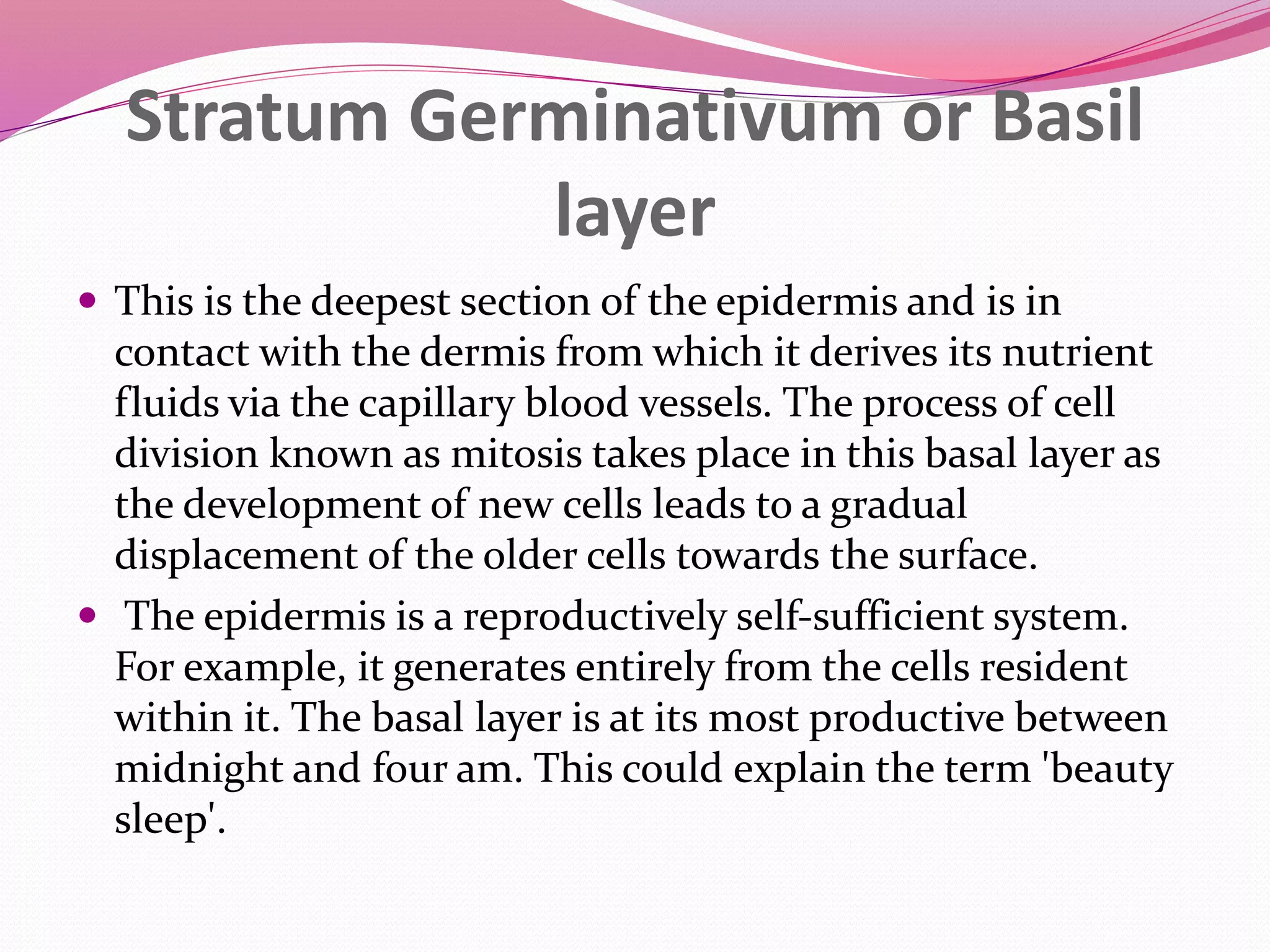 Structure of the skin repair and growth | PPTX