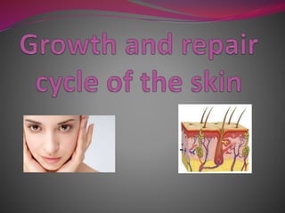 Structure of the skin repair and growth | PPTX