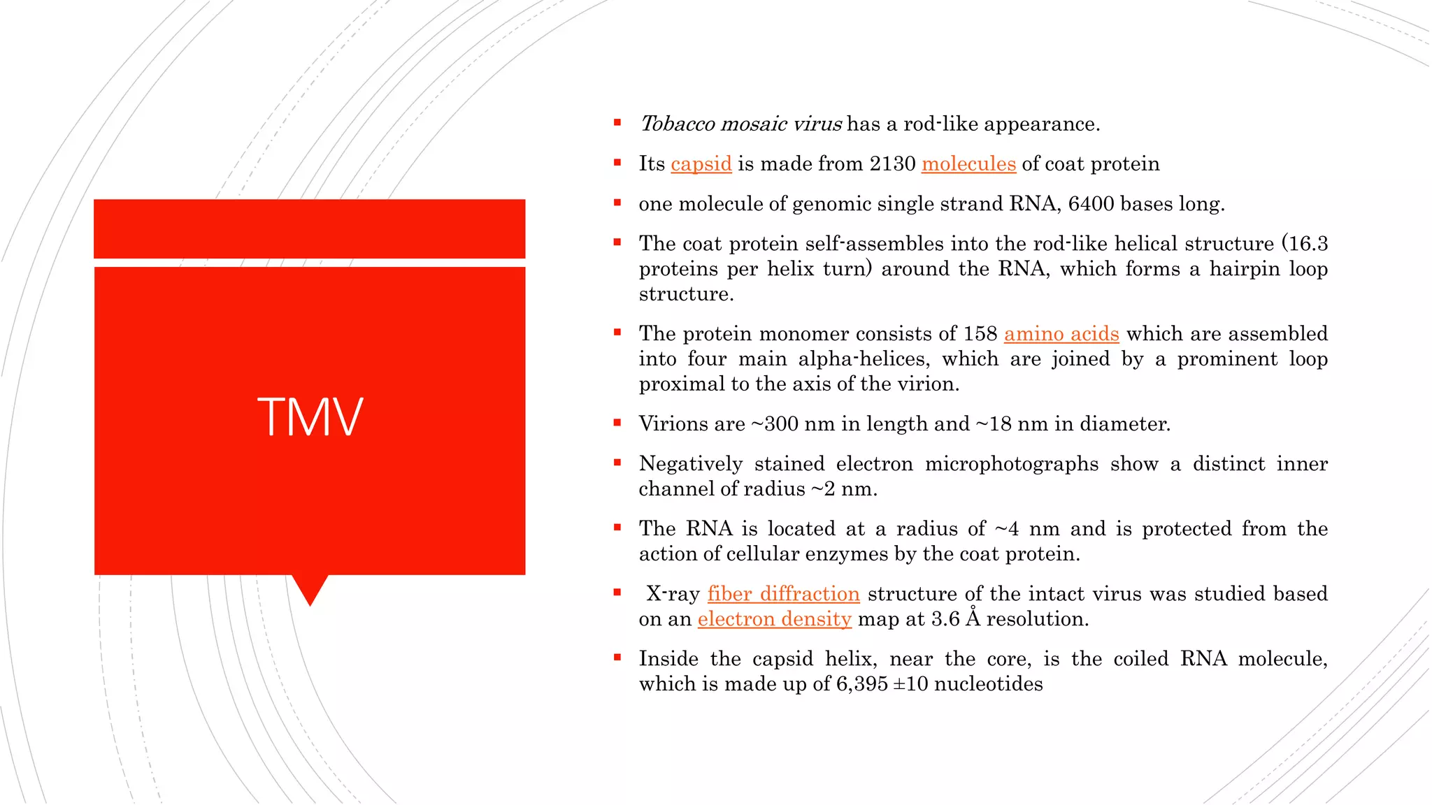 Structure of TMV and Bacteriophage | PPTX