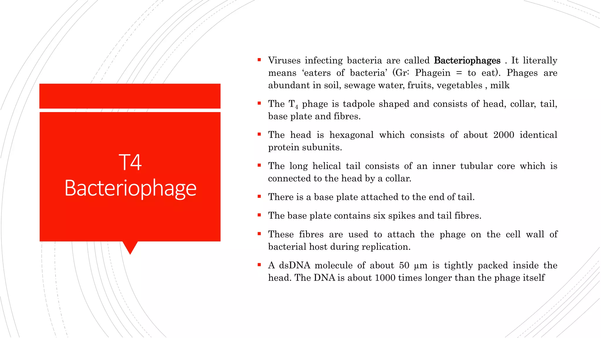 Structure of TMV and Bacteriophage | PPTX