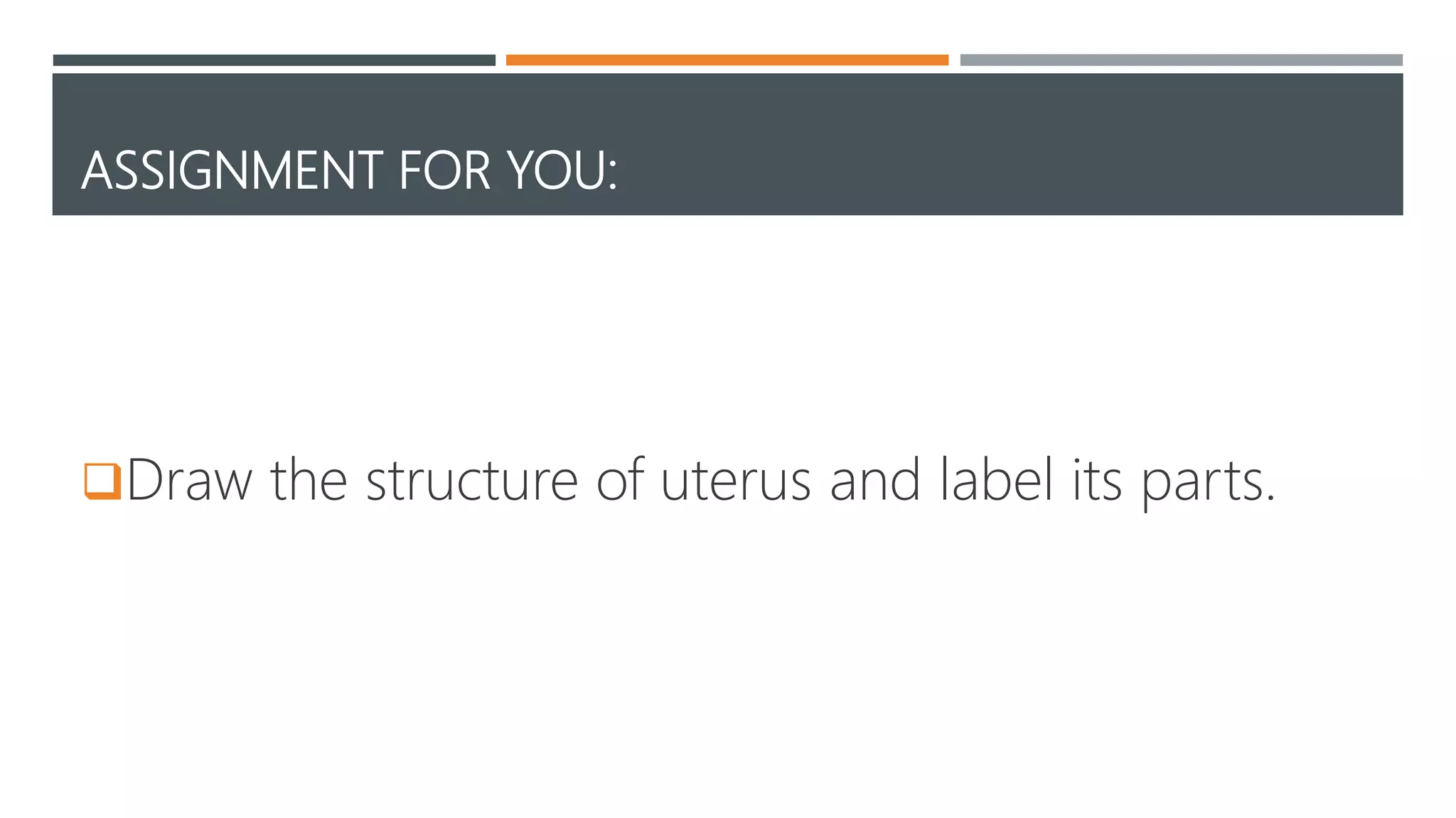 Structure of uterus | PPTX