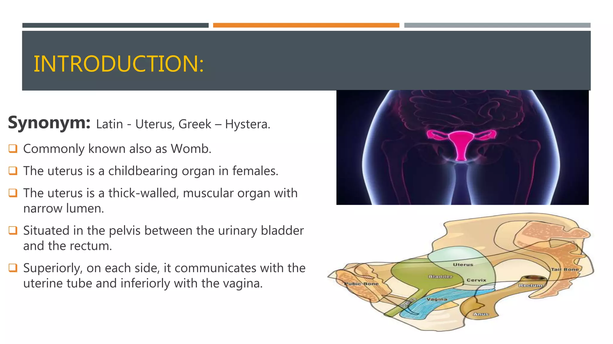Structure of uterus | PPTX