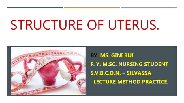 Structure of uterus | PPTX | Pregnancy | Reproductive Health