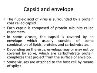 Structure of virus | PPTX