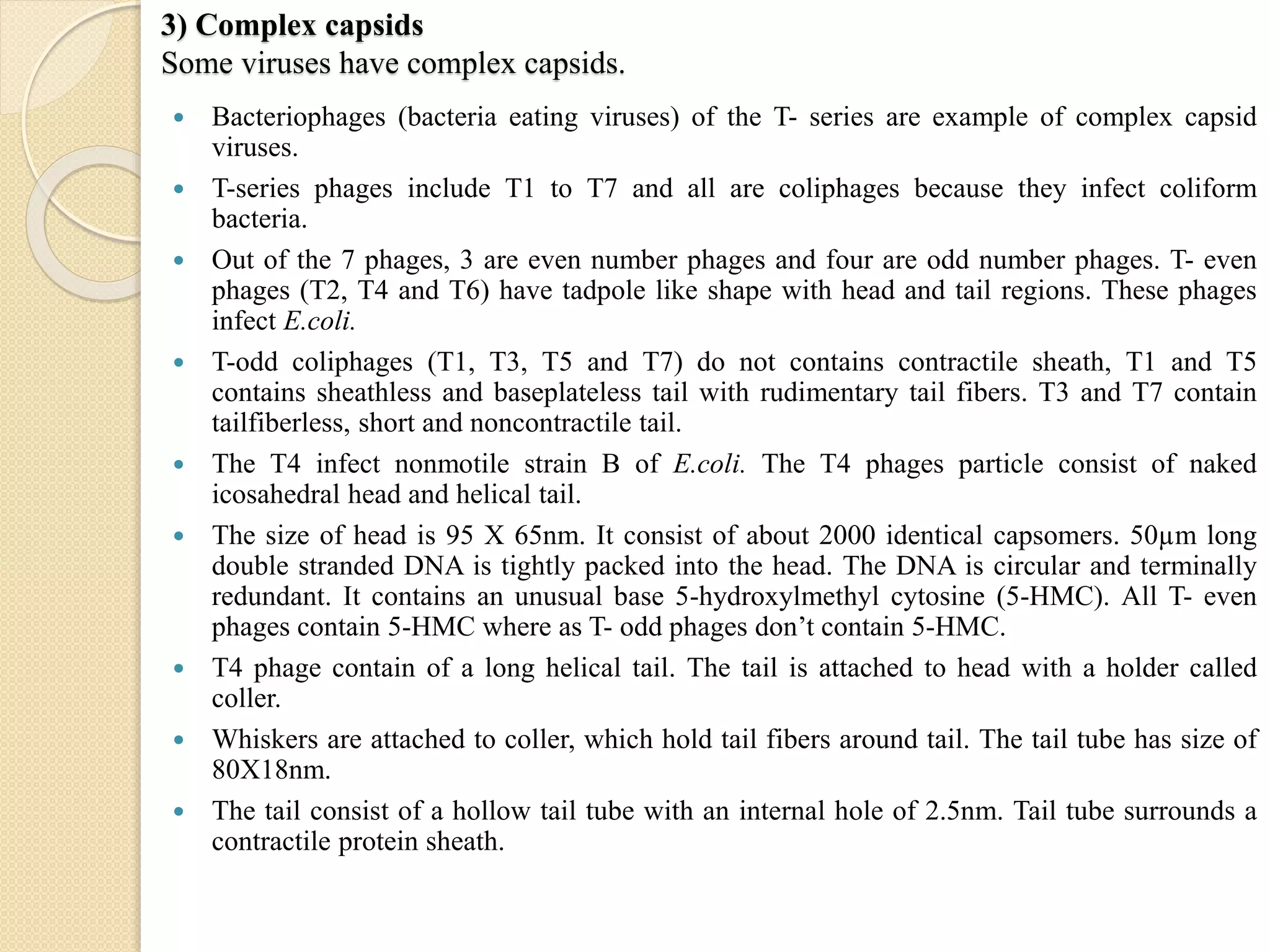 Structure of viruses | PPTX