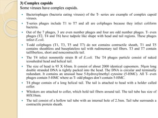 Structure of viruses | PPTX