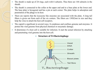 Structure of viruses | PPTX