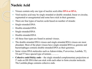 Structure of viruses | PPTX