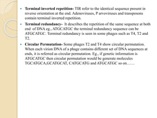 Structure of viruses | PPTX