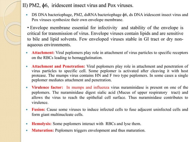 Structure of viruses | PPTX
