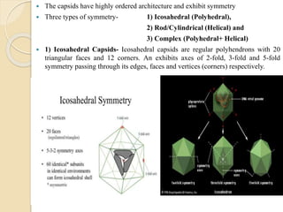 Structure of viruses | PPTX