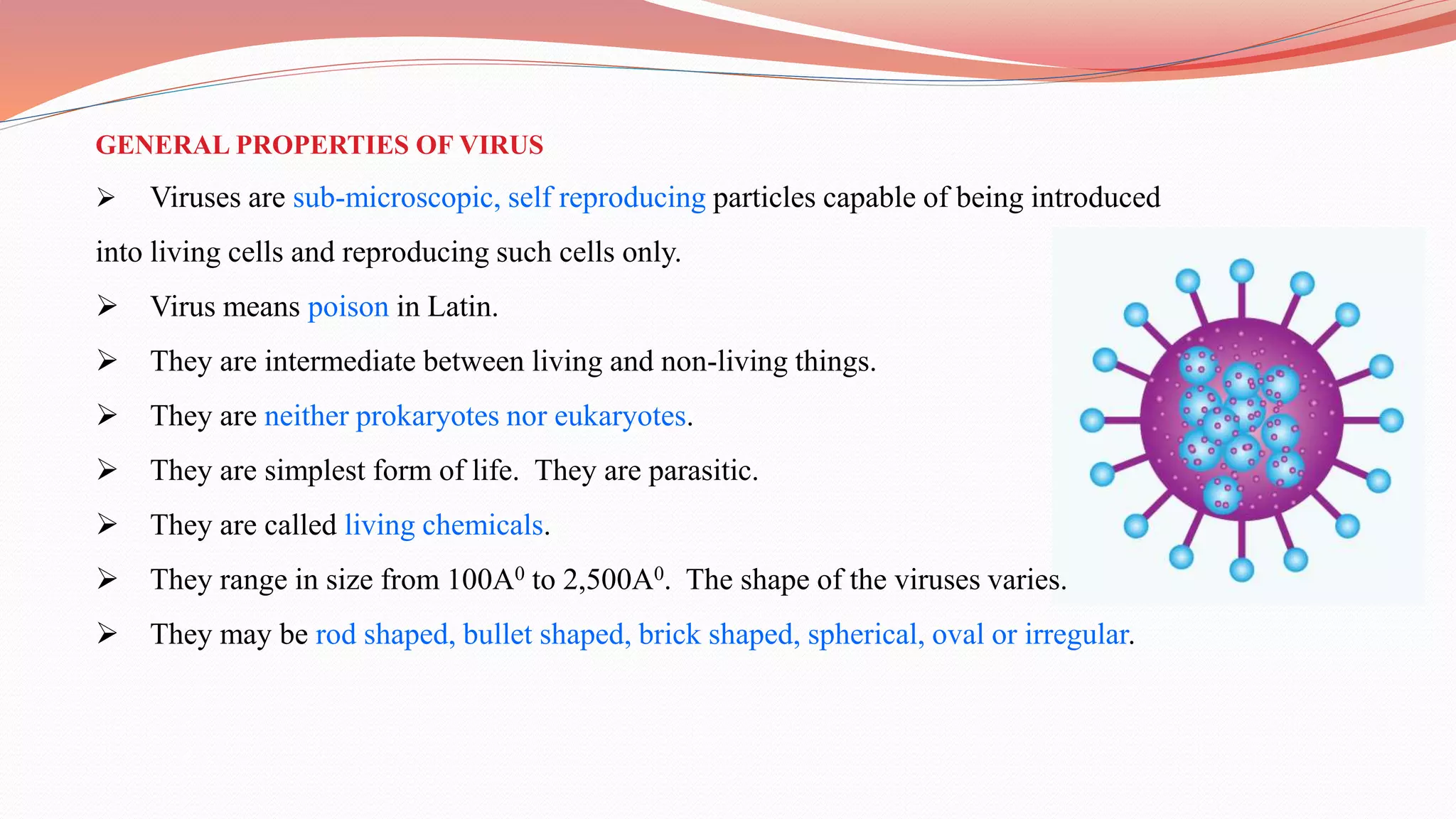 Structure of viruses | PPTX