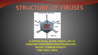 Structure of viruses | PPTX