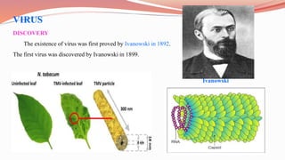 Structure of viruses | PPTX
