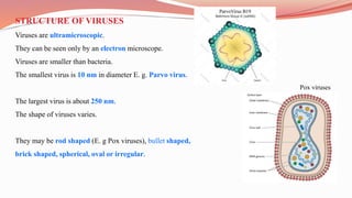 Structure of viruses | PPTX