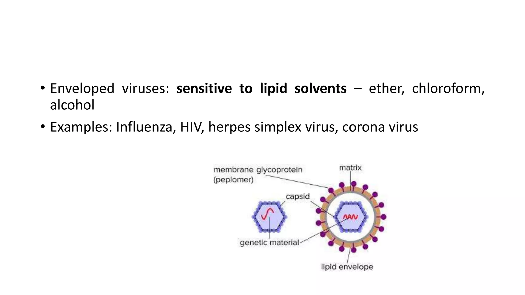 Structure of viruses | PPTX