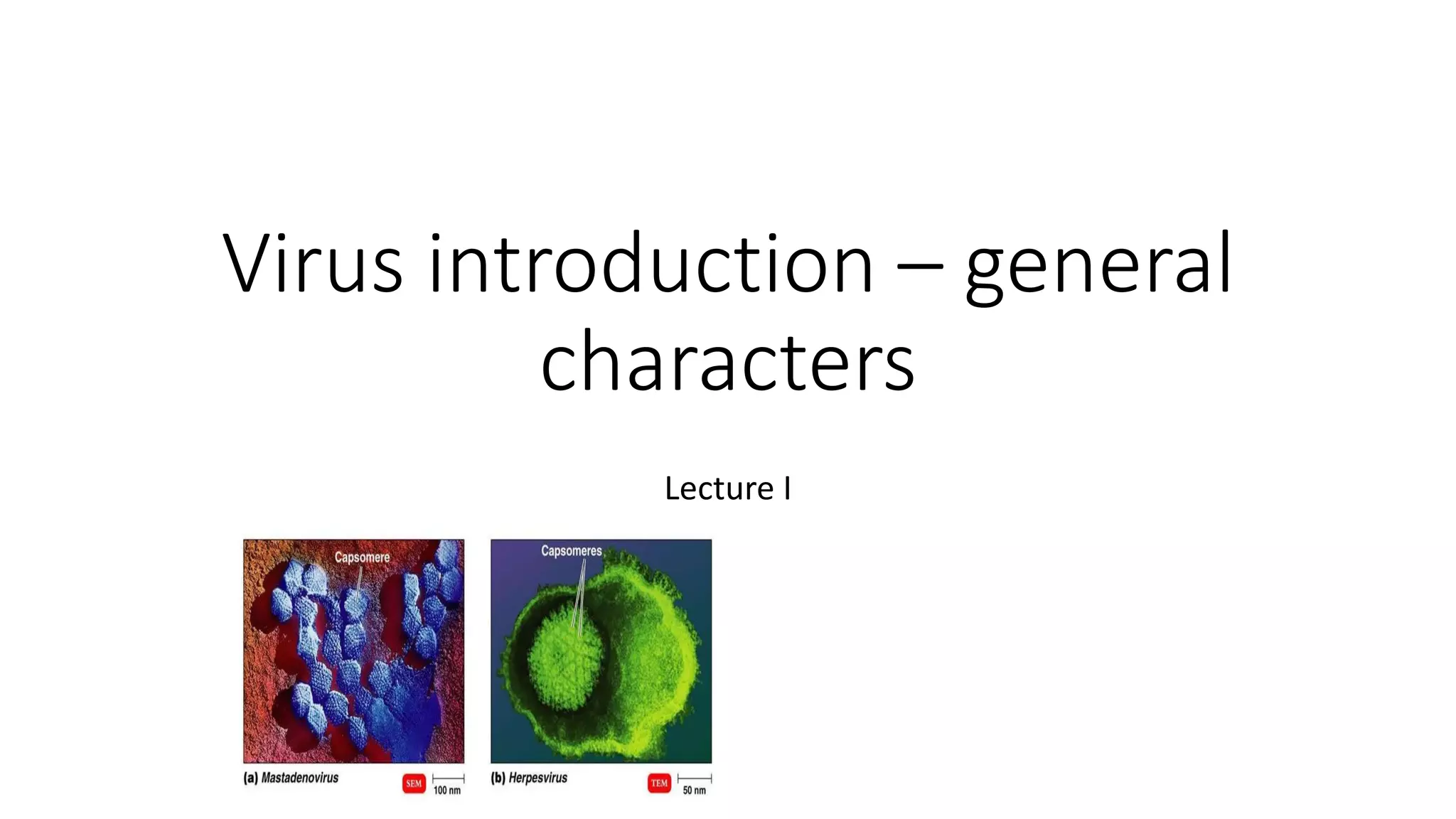 Structure of viruses | PPTX