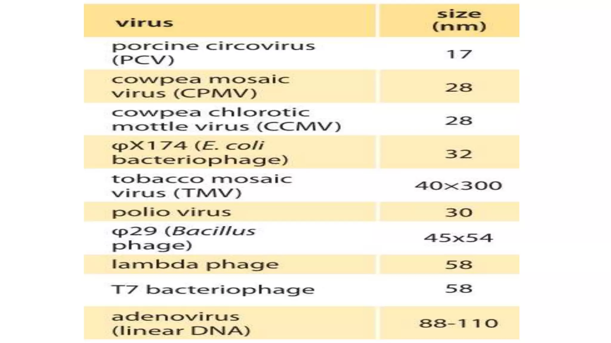 Structure of viruses | PPTX
