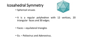 Structure of viruses | PPTX
