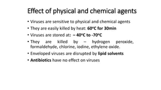 Structure of viruses | PPTX