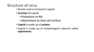 Structure of viruses | PPTX