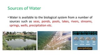 Structure of water | PPTX