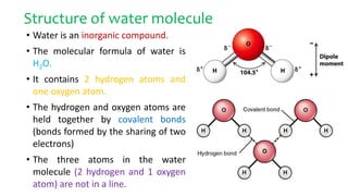 Structure of water | PPTX