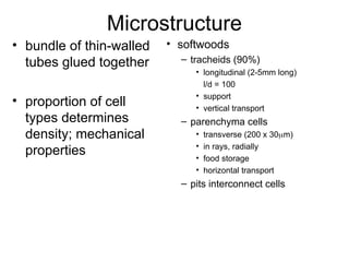 Structure of Wood Structure of Wood Structure of Wood | PPT