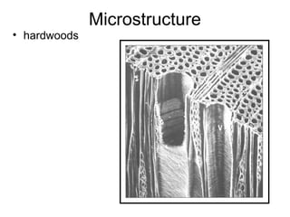 Structure of Wood Structure of Wood Structure of Wood | PPT