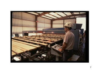 Structure of Wood Structure of Wood Structure of Wood | PPT