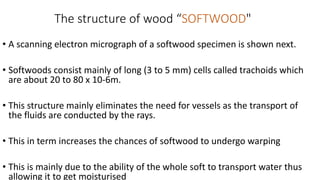Structure of woods | PPTX