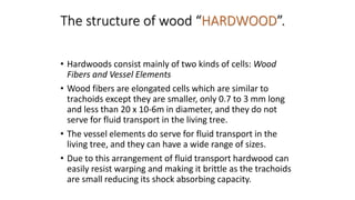 Structure of woods | PPTX