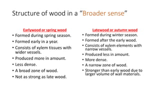 Structure of woods | PPTX