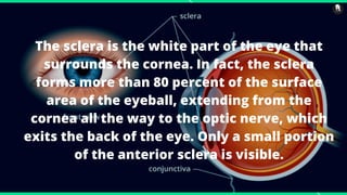 Structure, parts and fumctions of the human eye | PDF