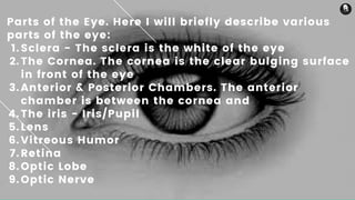 Structure, parts and fumctions of the human eye | PDF