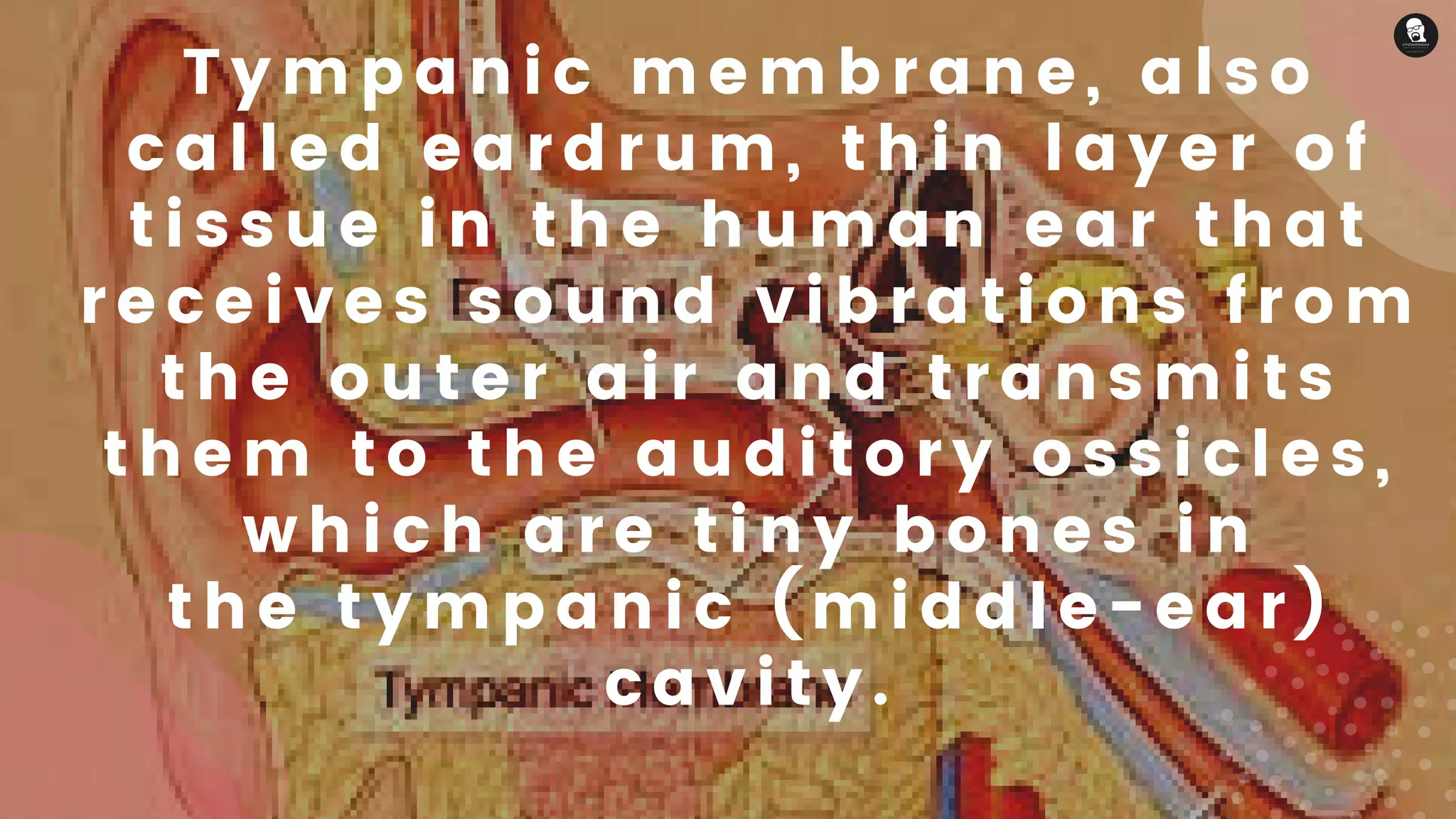 Structure, parts and function of human ear | PDF