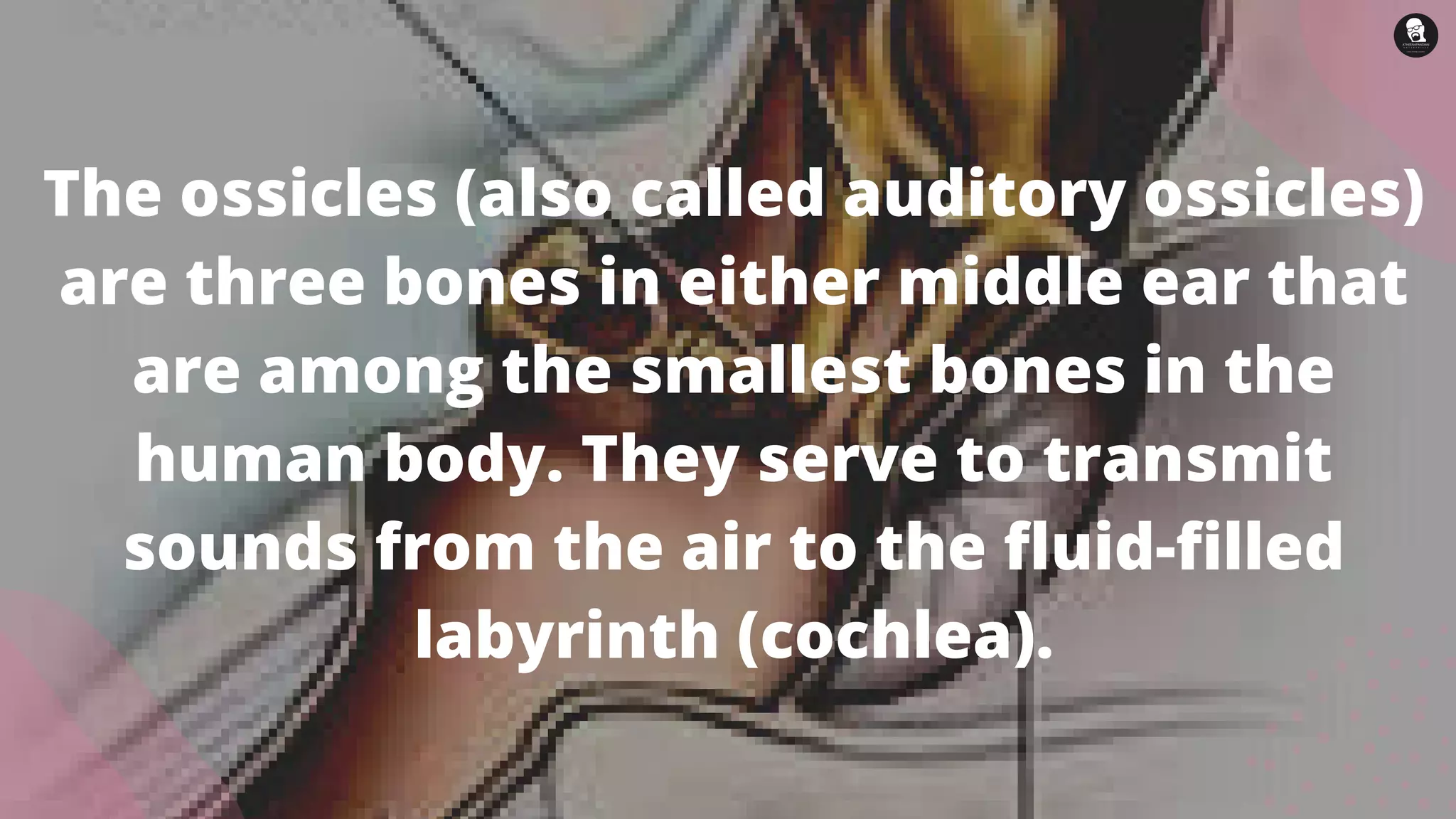 Structure, parts and function of human ear | PDF