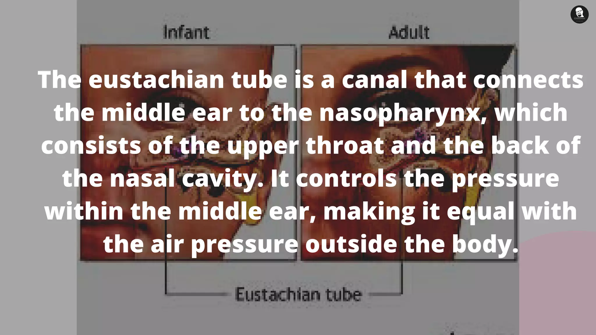 Structure, parts and function of human ear | PDF