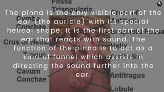 Structure, parts and function of human ear | PDF