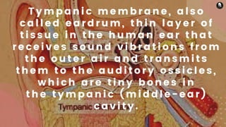 Structure, parts and function of human ear | PDF