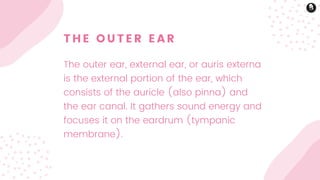 Structure, parts and function of human ear | PDF