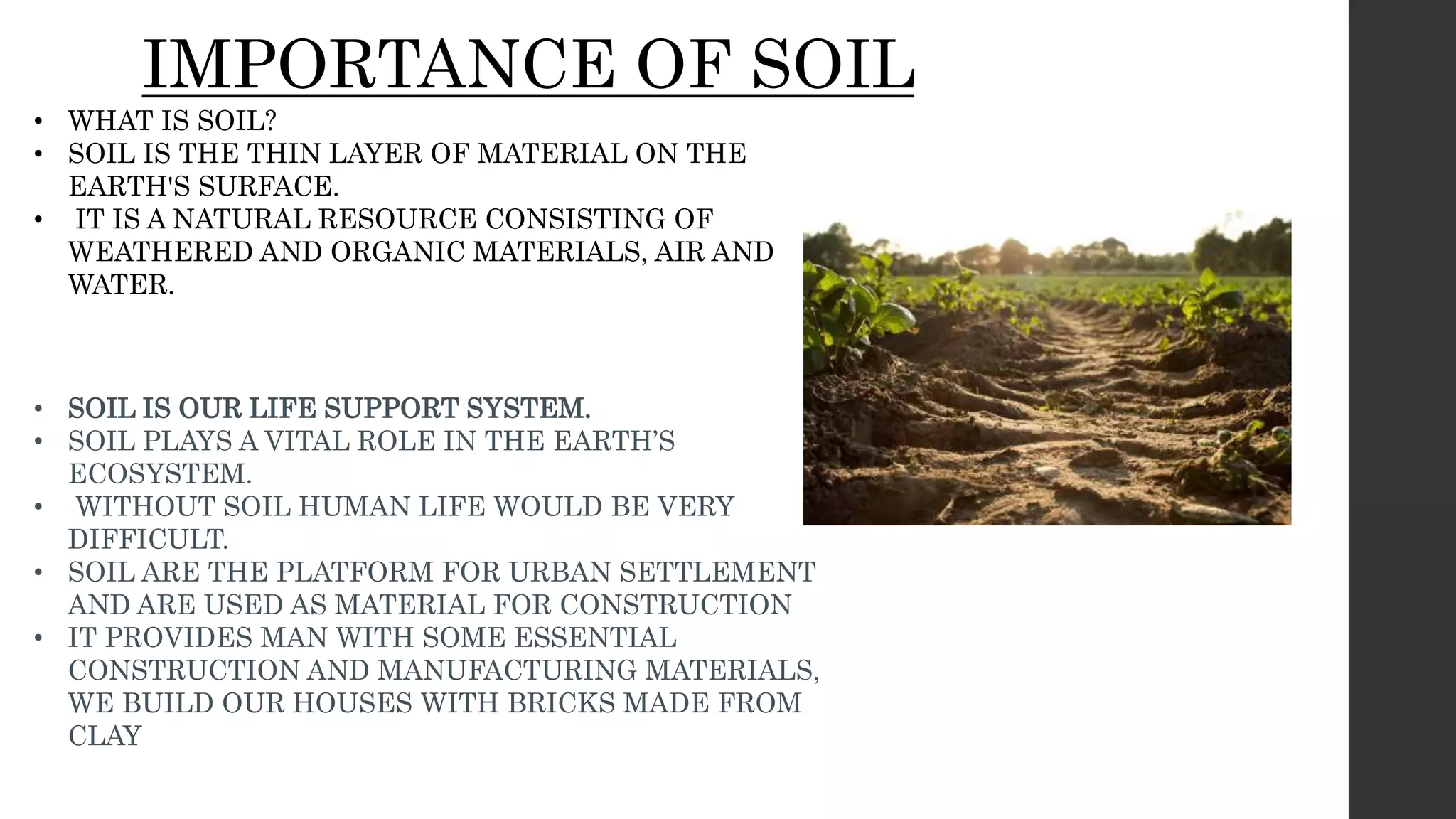 STRUCTURE PPT (1).pptx