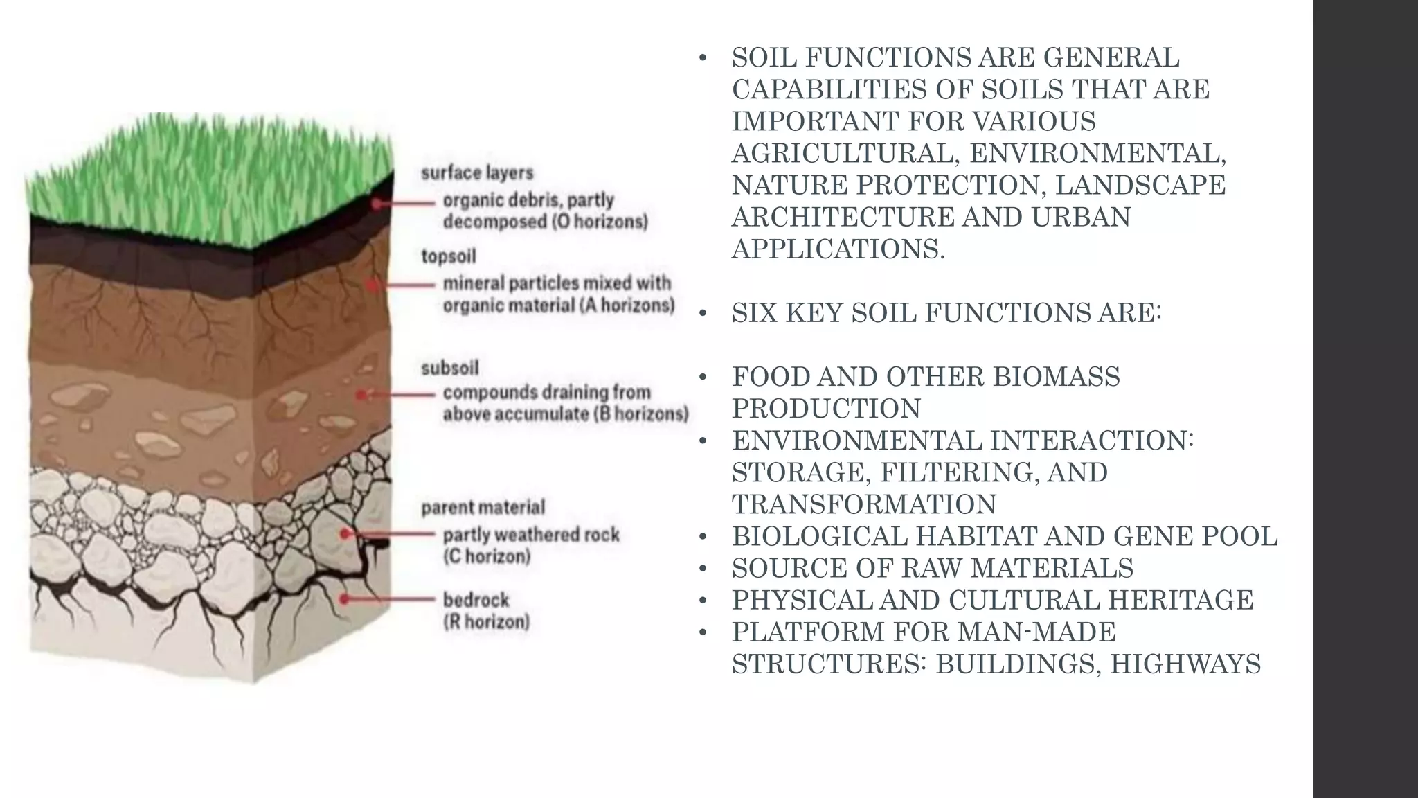 STRUCTURE PPT (1).pptx
