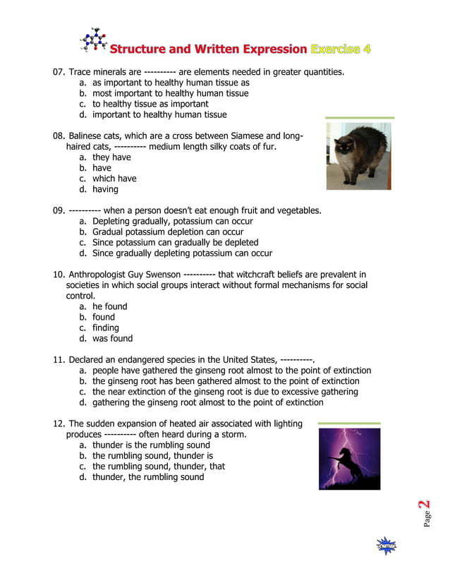 Structure & Written Expression Practice 4 | PDF