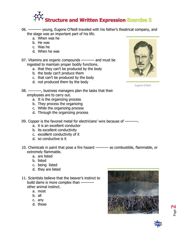 Structure & Written Expression Practice 5 | PDF