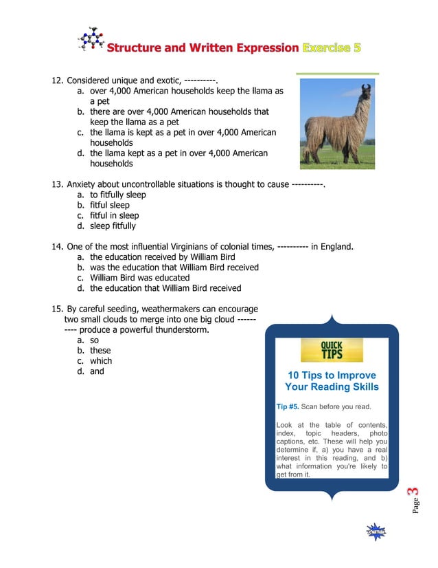 Structure & Written Expression Practice 5 | PDF